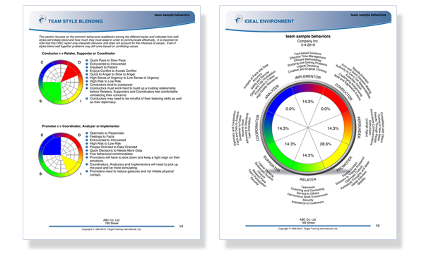 DISC Profile: The Worlds Number 1 Behavioural Assessment (Summary)