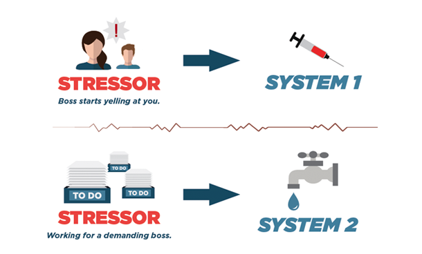 Fight or Flight at Work: Your Stress Response