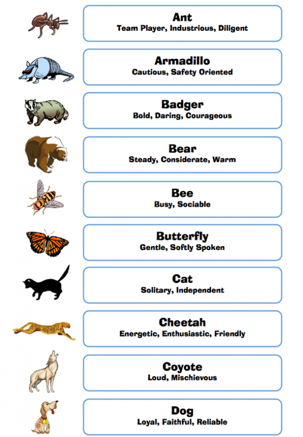 The Best Icebreaker for L&D Facilitators (Animal Personalities)