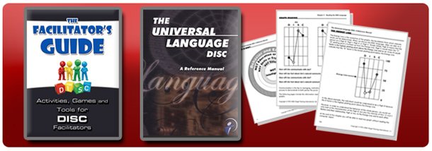 DISC Profile: The 2 DISC Graphs