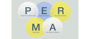 In a Nutshell: PERMA Model of Positive Psychology