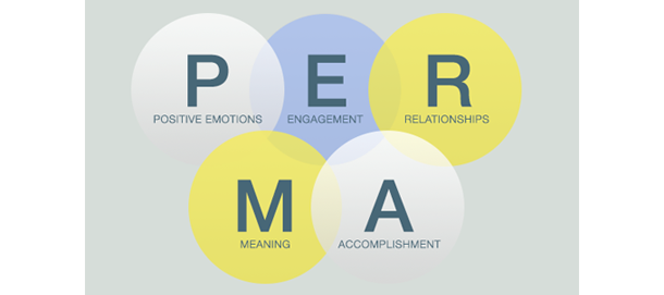 In a Nutshell: PERMA Model of Positive Psychology