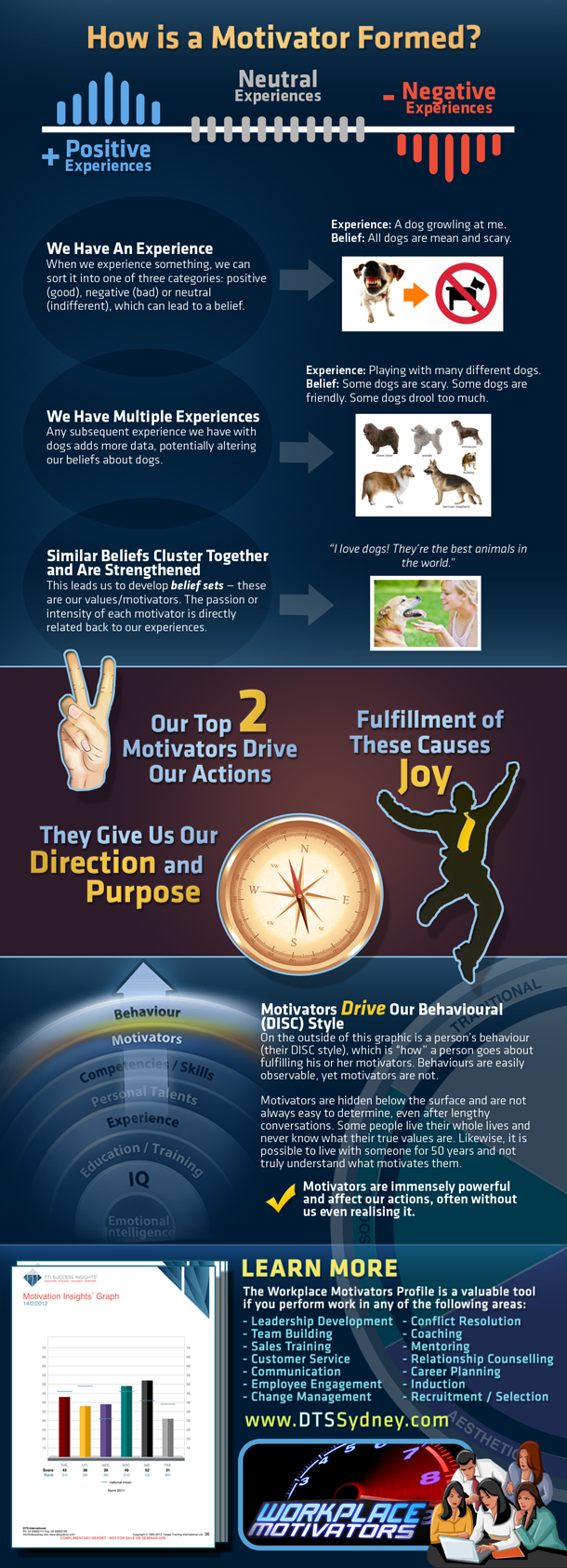 The 6 Motivators (Values): INFOGRAPHIC