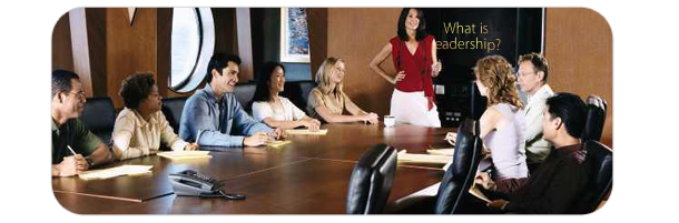 DISC Profile in Leadership Development